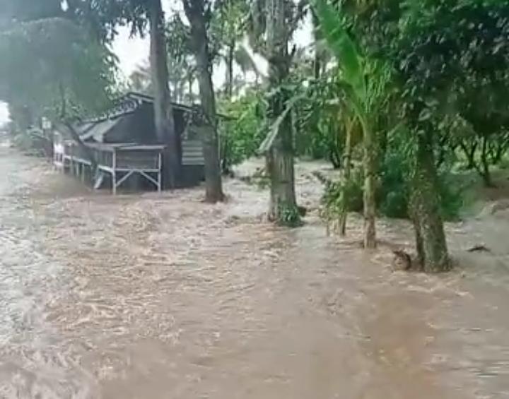 Wadung Kamidin Banjir, Drainase Perkebunan Kali Kempit Meluap ...